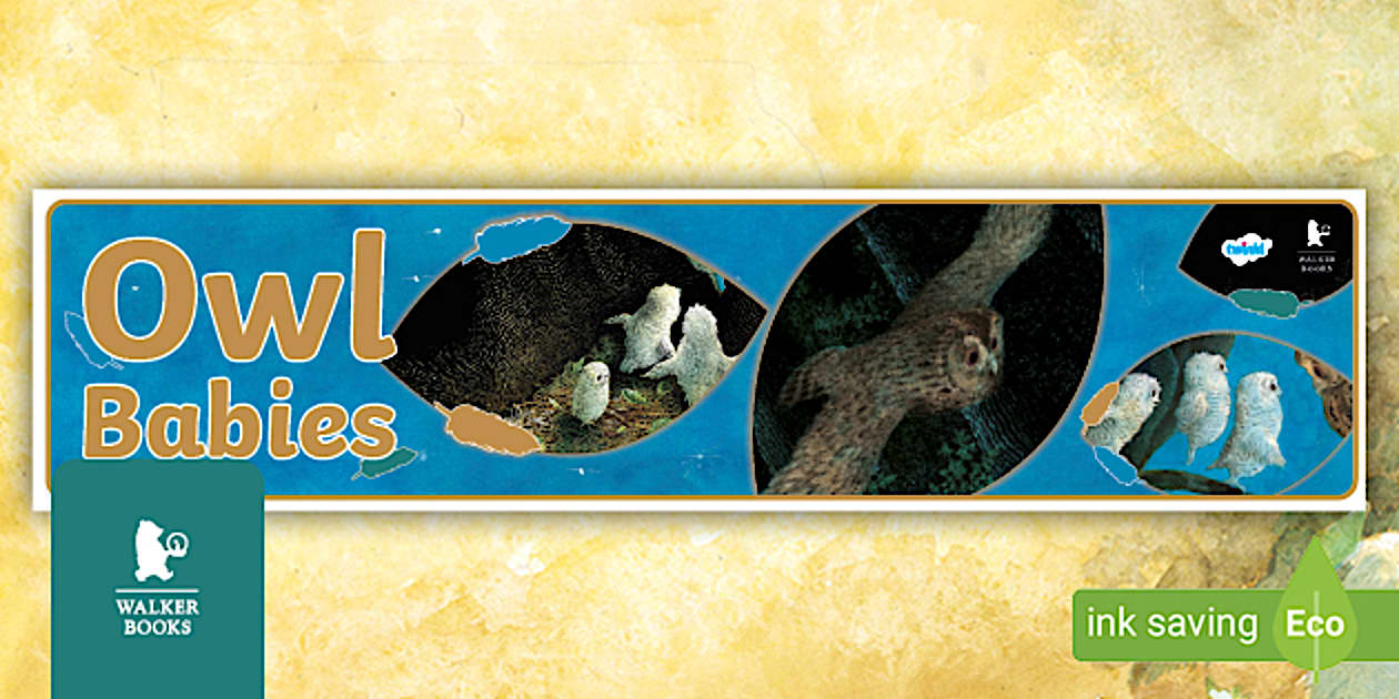 Owl Babies Display Banner | Primary Resources | Twinkl